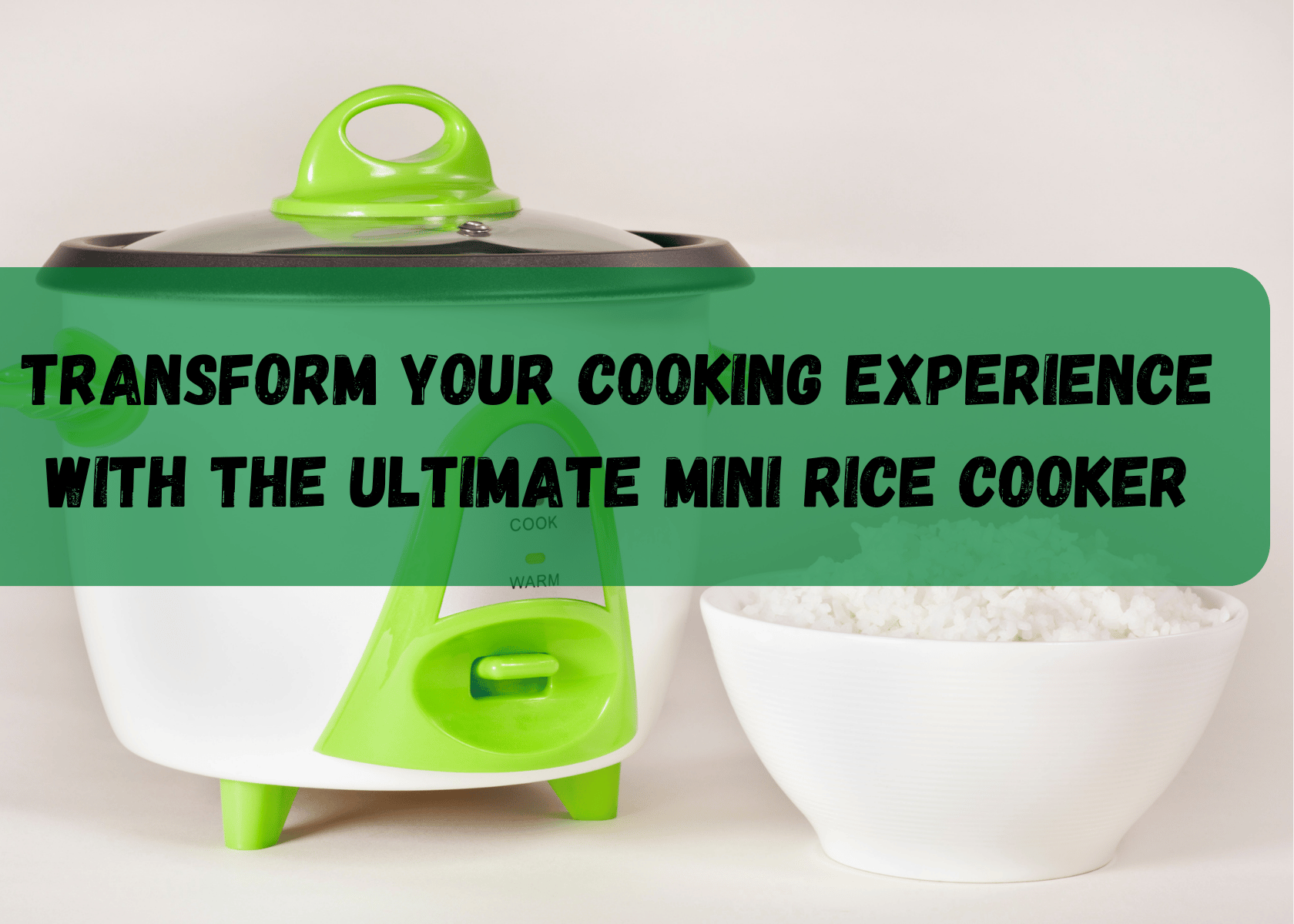 Best Mini Rice Cooker