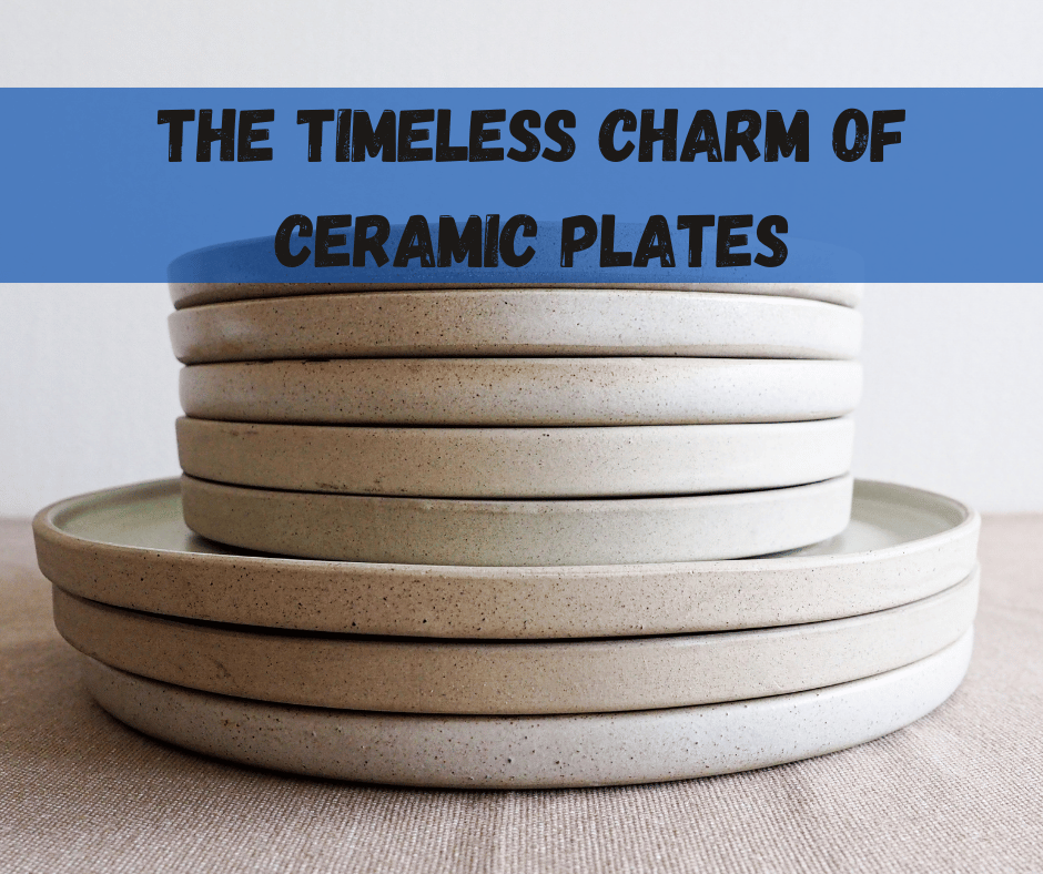 Best Ceramic Plates