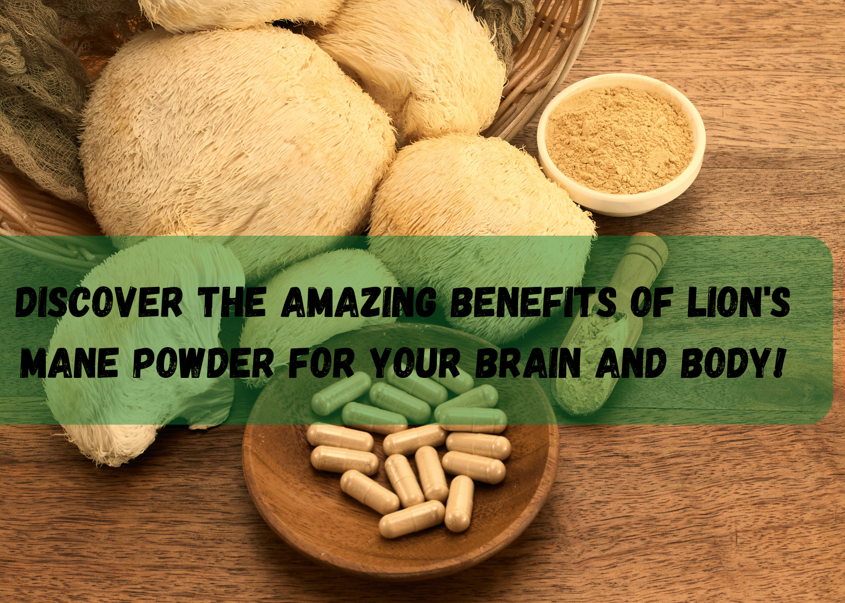 Best Lion's Mane Powder