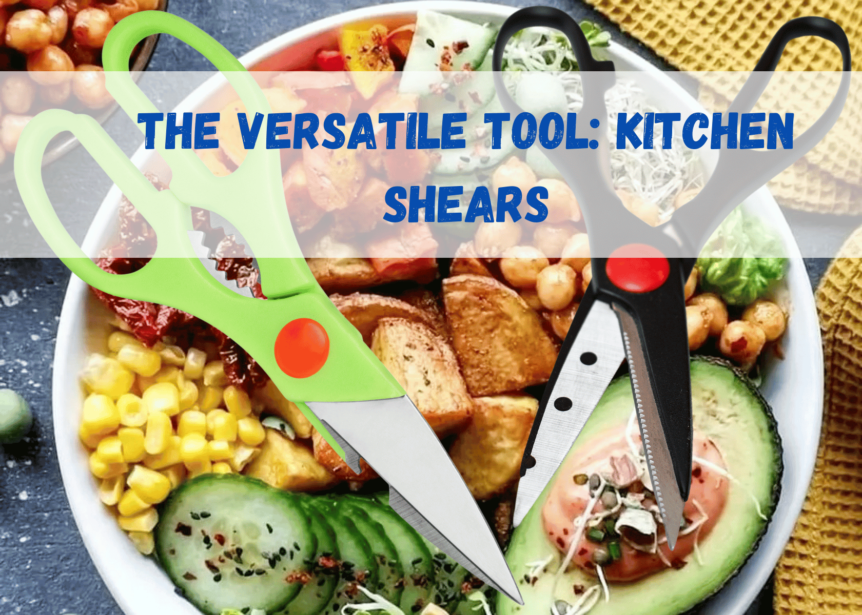 Best Kitchen Shears