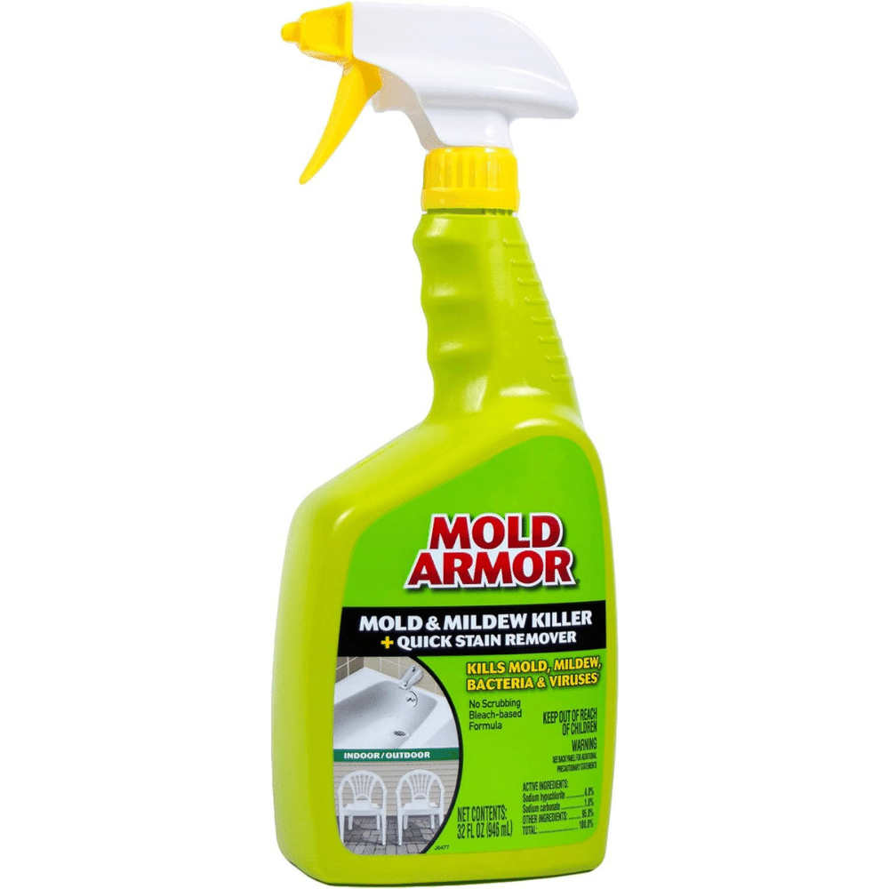 Best Mold Remover